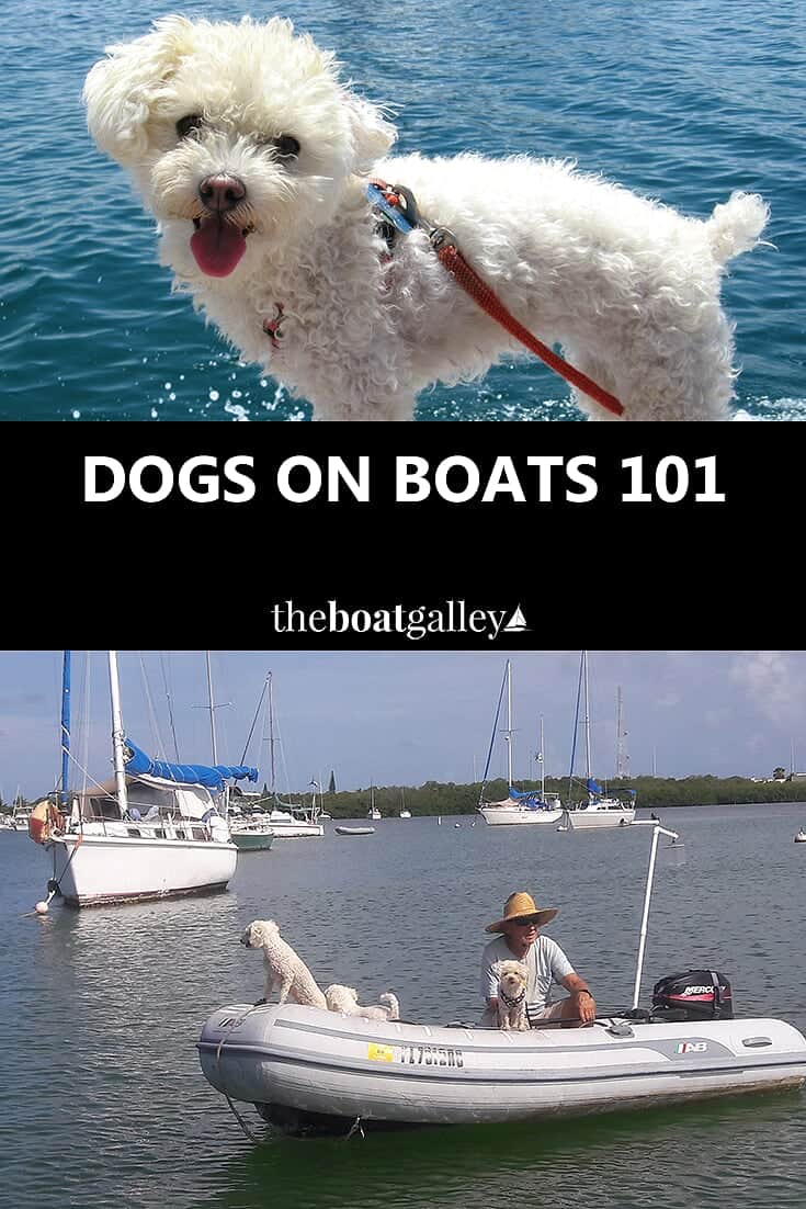 Boat Dog (& Cat) | The Boat Galley